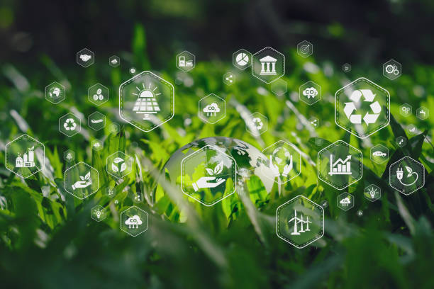 Nexus Focus Consultancy